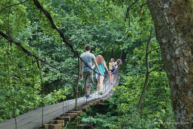 Private Hiking Tour to Mtirala National Park from Batumi - The Sum Up