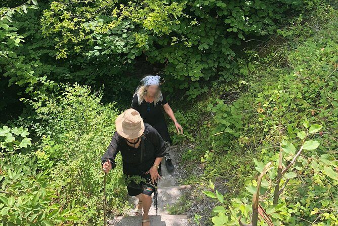 Private hiking tour to Olympus mountain - Introduction: Exploring Mt. Olympus with a Personal Touch