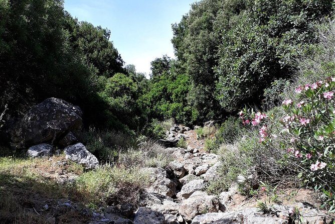 PRIVATE Hiking Walking GORGE nearby Hersonissos CRETE - The Value of the Experience