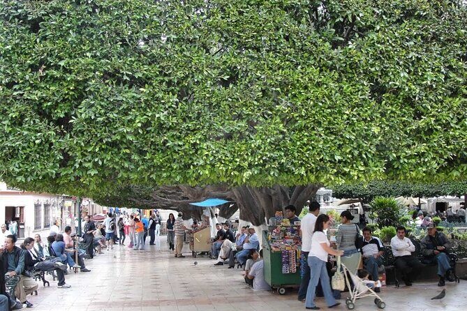 Private History & City Walking Tour of Guanajuato - FAQ