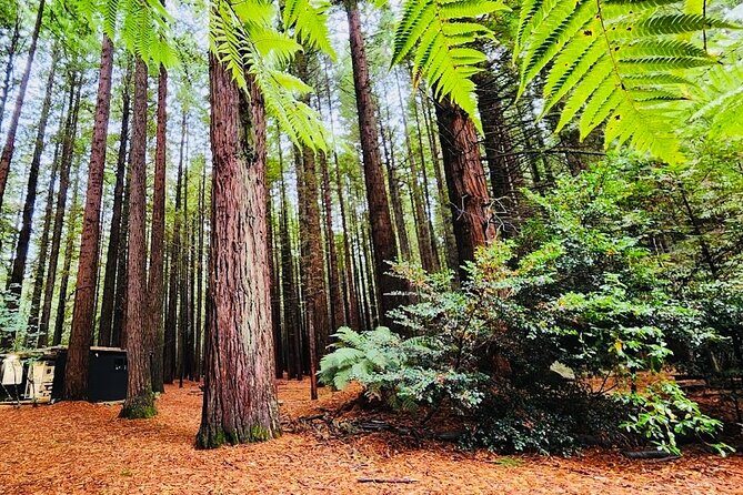 Private Hobbiton movie set & Blue springs from Auckland - FAQs  