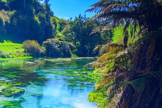 Private Hobbiton, Waitomo Caves, Blue Spring & Hamilton Transfer - Who Is This Tour Best For?