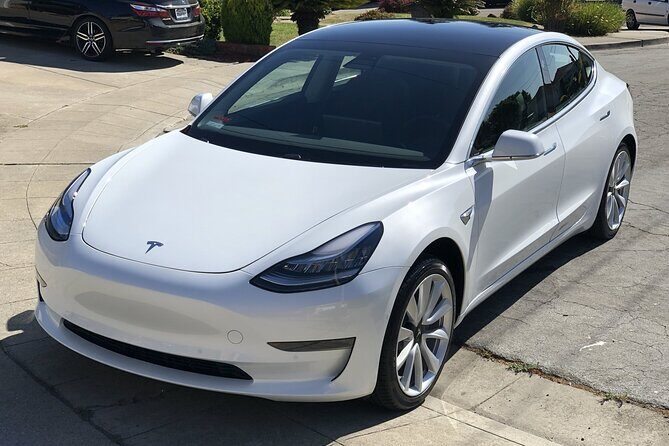 Private Hobbiton & Waitomo Caves Transfer from Auckland - Final Thoughts