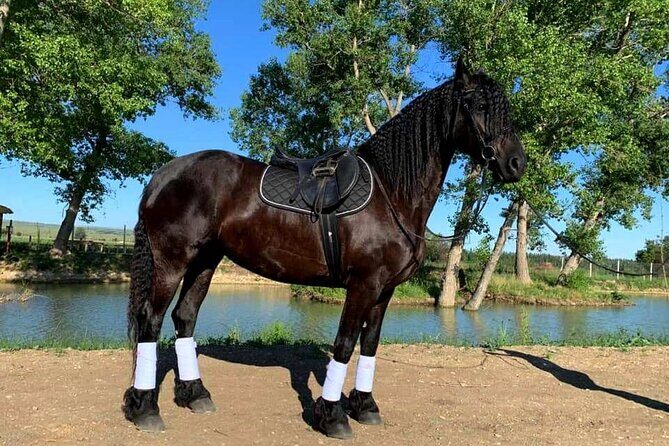 Private Horse Ridding tour - Insights from Real Travelers