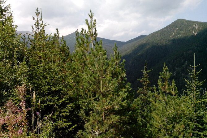 Private Horse Riding in the Balkan from Sofia - Breaking Down the Itinerary