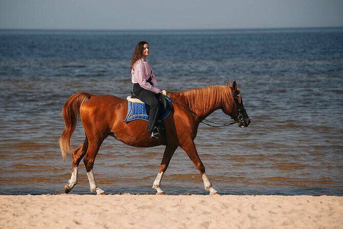 Private Horse Riding on the Beach in Riga - Key Points