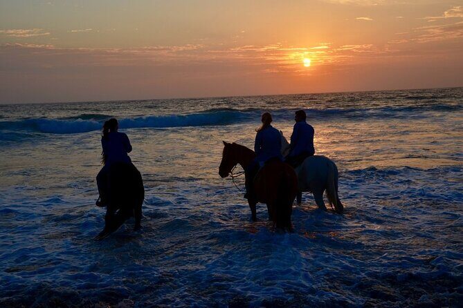 Private Horseback Beach + Bufadora Shore Excursion - Questions You Might Have