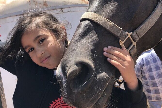 Private Horseback Beach + Bufadora Shore Excursion - Final Verdict