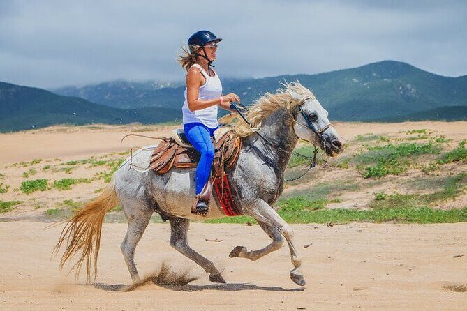 Private Horseback Riding in Cabo San Lucas - An In-Depth Look at the Experience