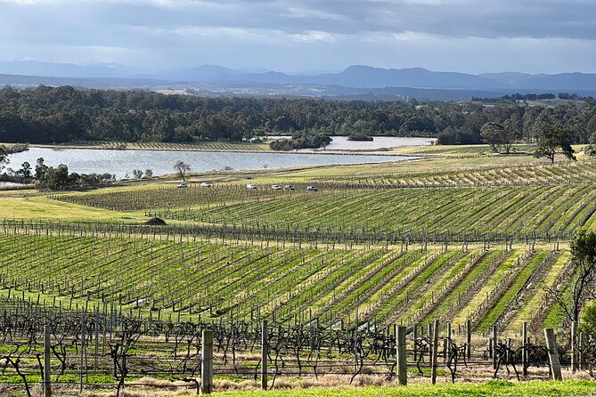 Private Hunter Valley Wine Day Tour from Sydney luxury Mercedes - Key Points