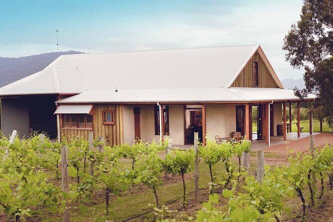 Private Hunter Valley Wine Tour from Sydney Tasting Day Trip - How the Private Driver Guides the Day