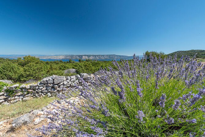 Private Hvar Island Tour and Olive Oil Tasting - Practical Details and What You’ll Get