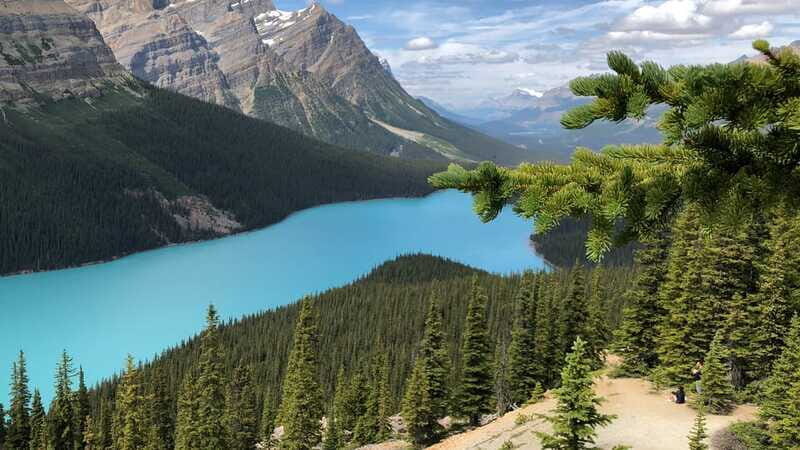 Private Icefields Parkway Tour w/ Lake Louise & Moraine Lake - Who Would Love This Tour?