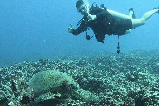 PRIVATE Introductory Discover Scuba Diving For Beginners - The Sum Up