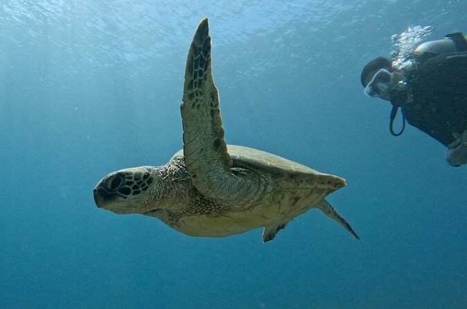 PRIVATE Introductory Discover Scuba Diving For Beginners - FAQ