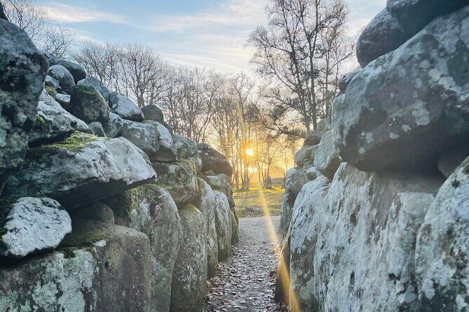 Private Invergordon Shore Excursion with Cawdor Castle (12 max) - Final Thoughts