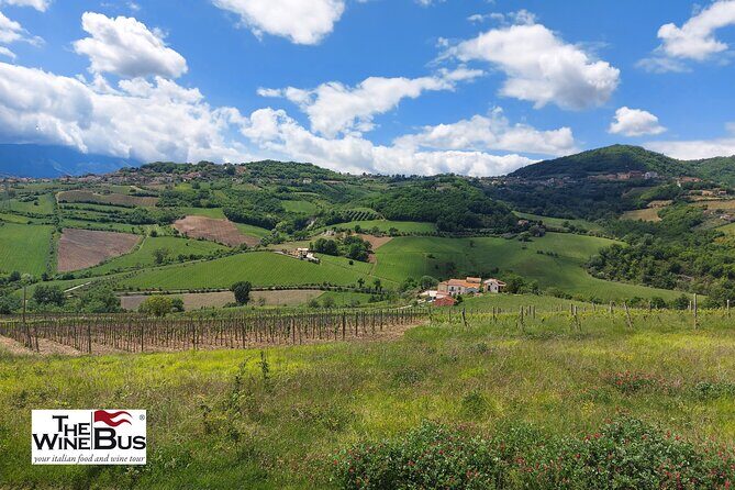 Private Irpinia Wine Tour from POSITANO, AMALFI or RAVELLO - Exploring the Irpinia Wine Region: A Private Tour from Positano