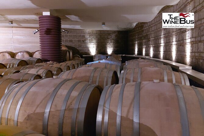 Private Irpinia Wine Tour from Sorrento with sommelier - Who Should Consider This Tour?