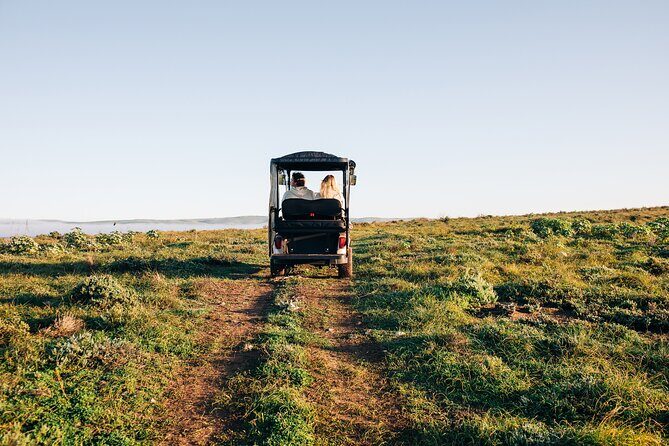 Private Island Day Tour with 6 Course Dining - Discovering Louth Island: A Unique Blend of Adventure and Gourmet Experience