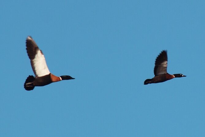 Private Island Day Tour with 6 Course Dining - FAQs