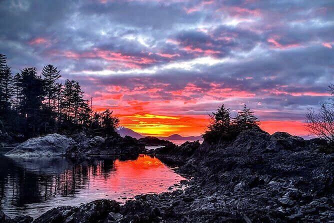 Private Island Experience in Sitka - The Experience: What You Can Expect