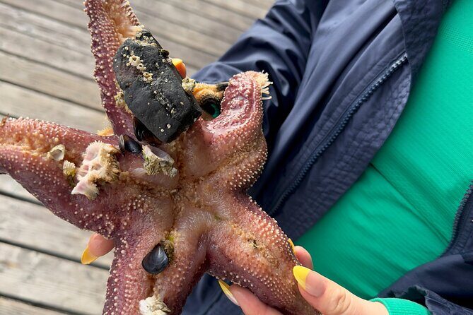 Private Island Experience in Sitka - Authentic Insights from a Review