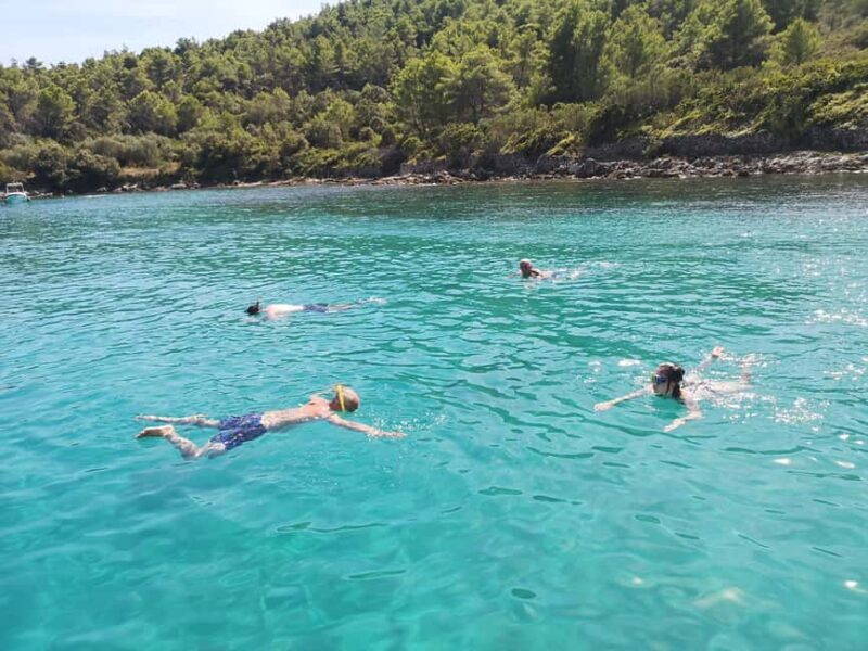 Private Island Hopping Boat tour around Zadar with Drinks - Who Would Love This Tour?