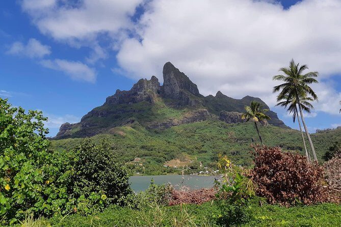 Private Island Tour by ATV / QUAD - The Experience of Guides and Personal Touches