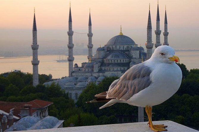 Private Istanbul Layover Tour From Airport - An Introduction to the Tour