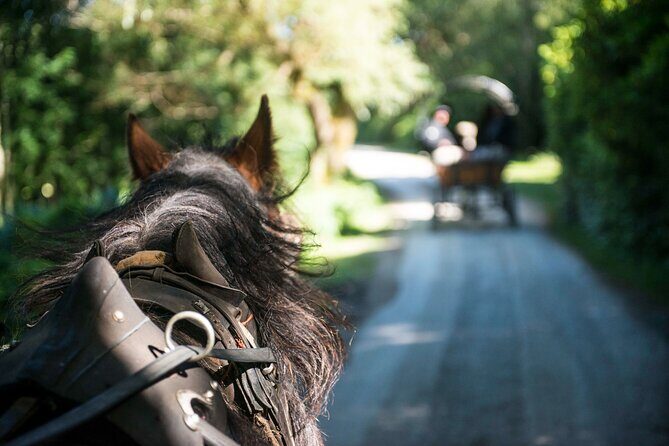 Private Jaunting Tour and Afternoon Tea in Killarney - Frequently Asked Questions