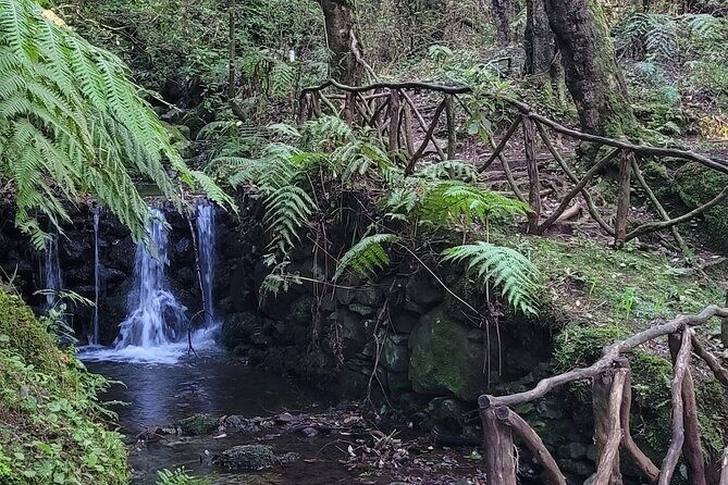 Private Jeep 4x4 : Madeira beyond the ordinary - In-depth Review