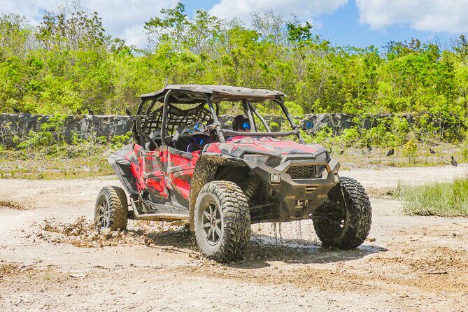 Private Jeep and 4x4 Polaris RZR Tour with Mexican Lunch - An In-Depth Look at What to Expect