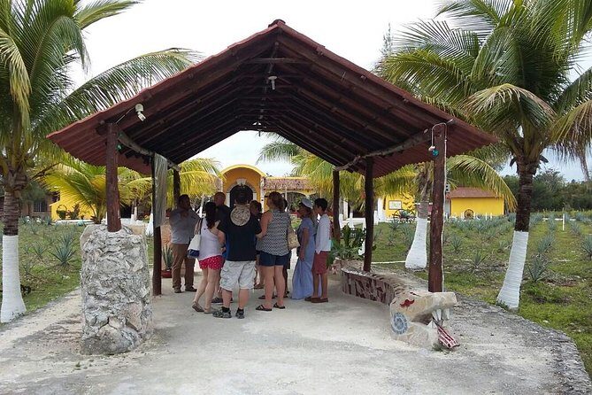 Private Jeep Excursion in Cozumel with Lunch and Snorkeling - Frequently Asked Questions