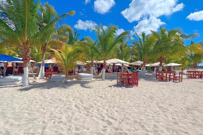 Private Jeep or Buggy Tour Snorkeling Maya Park and Tacos - In summary, this tour offers high value for its price, with knowledgeable guides, authentic experiences, and beautiful scenery. Whether you’re into snorkeling, cultural discovery, or just a relaxing day at the beach, it covers all the bases with a personal touch.