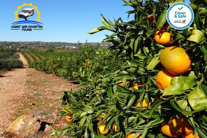 Private Jeep Safari Half-Day Tour - FAQs