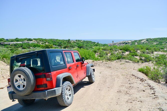 Private Jeep Tour Cabo Pulmo - Authenticity and Review Highlights