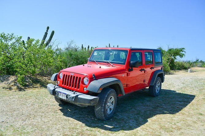 Private Jeep Tour Cabo Pulmo - Who Will Love This Tour?