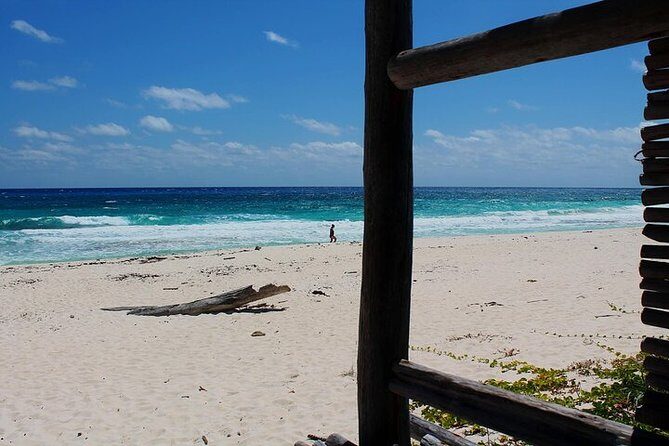 Private Jeep Tour in Cozumel - The Sum Up: Who Should Book This Tour?