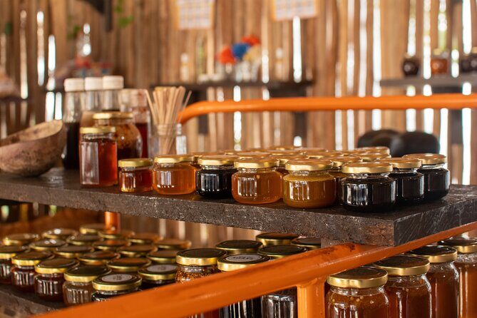 Private Jeep Tour: Punta Sur, Mayan Park & Snorkel Adventure - Who Will Love This Tour?