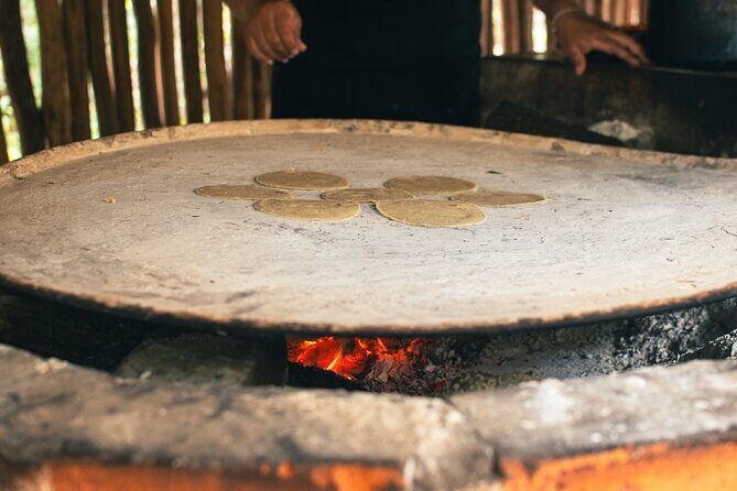 Private Jeep Tour: Punta Sur, Mayan Park & Snorkel Adventure - The Sum Up