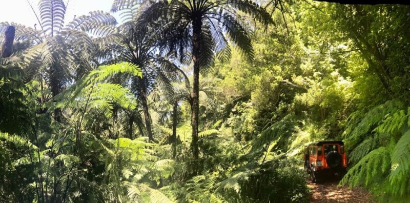 Private Jeep Tour Santana to East-Side - Who Is This Tour Best For?