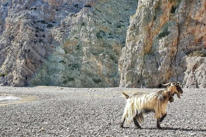 Private Jeep Tour to Agiofarago Beach to swim & Matala walk - An Authentic Day in Crete: A Detailed Review