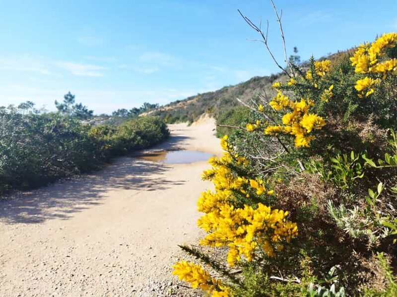 Private Jeep tour to Espichel Mysteries and Wild Beaches - Who Would Love This Tour?