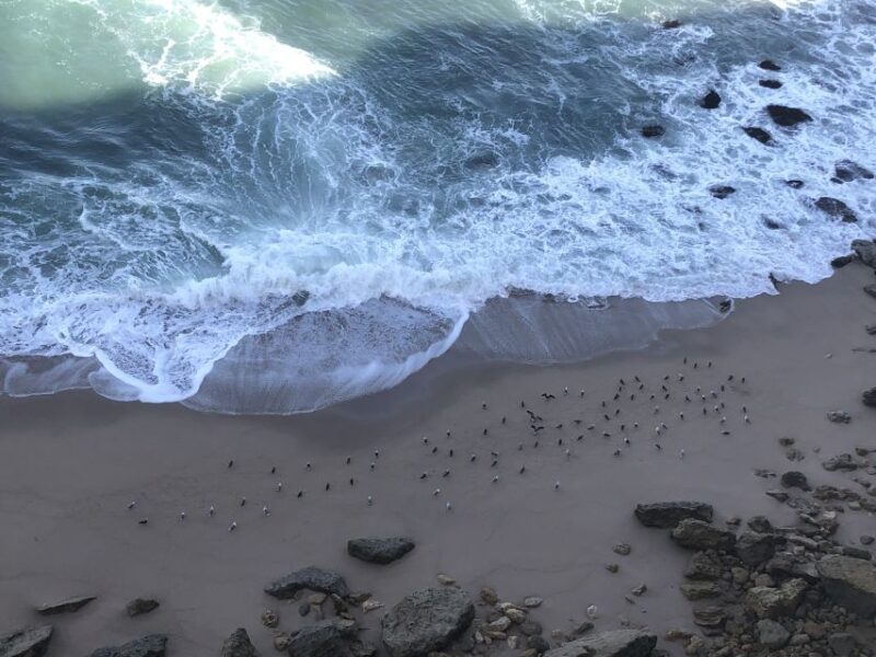 Private Jeep tour to Espichel Mysteries and Wild Beaches - FAQ