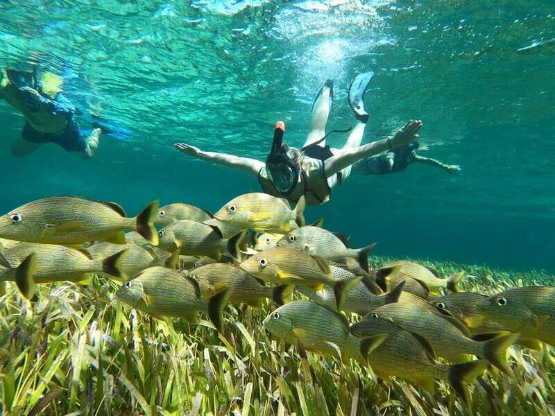 Private Jeep tour to Punta Sur park + snorkel + Lunch - The Sum Up: Is This Tour for You?