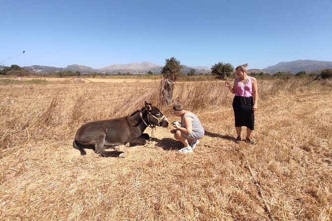 Private Jeep Tour - Zeus Cave - Cretan villages - Transportation and Logistics