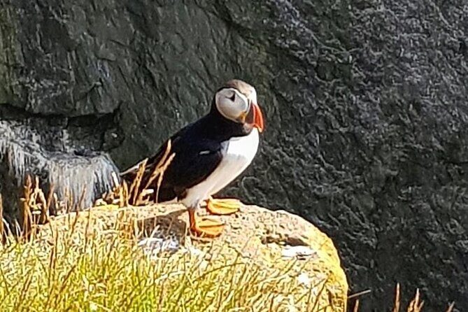 Private Jeep with driver guide, Super JEEP - The Sum Up