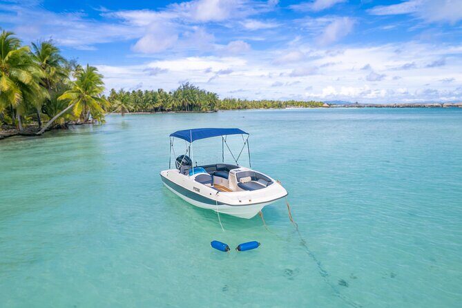 Private Jetboard Lessons with Instructor in Bora Bora - Who Will Love This Experience?