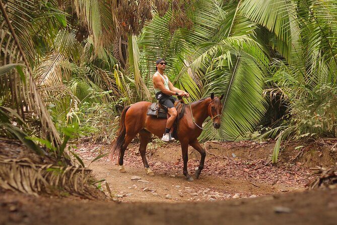 Private Jungle Horseback Adventure - Exploring the Private Jungle Horseback Adventure in Sayulita