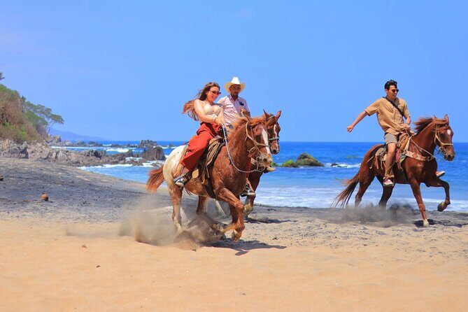 Private Jungle Horseback Adventure - Why This Tour Is a Good Value